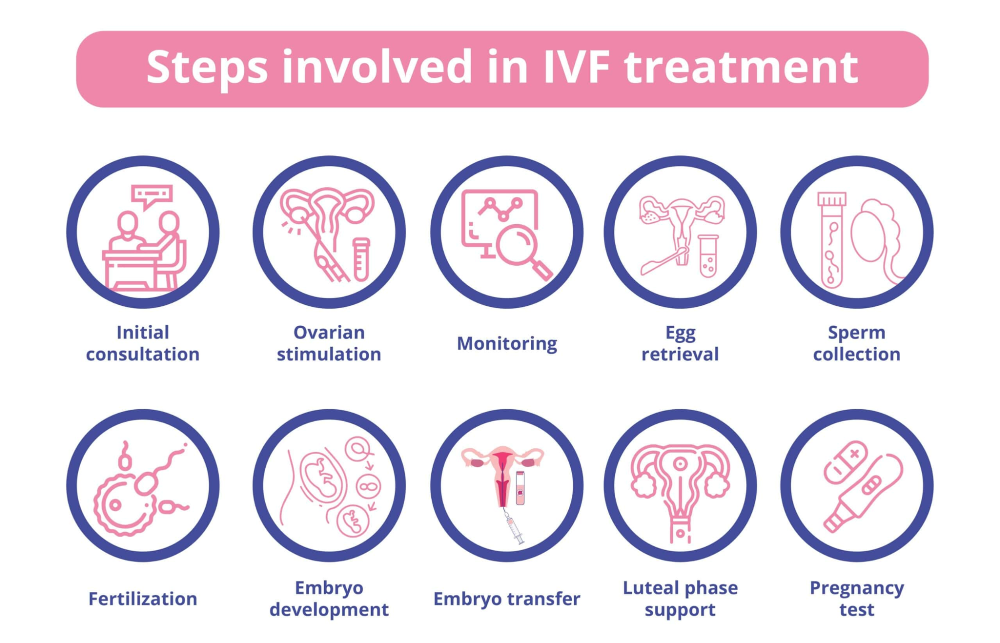 IVF clinic guide. How long is the IVF process from start to finish – Ziva Fertility Center in ...